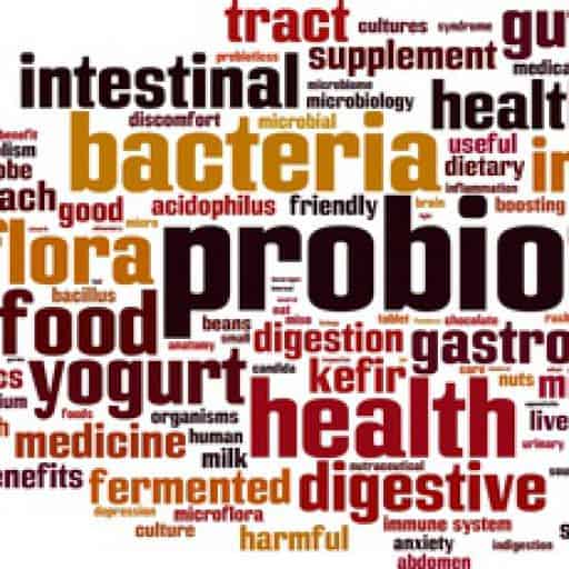 Best probiotic strains for a healthy gut - Microbiotic Plus Probiotics