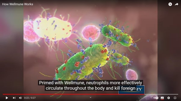 ImmunoShield Unique Triple Action Immune Support - Uni-Vite Healthcare